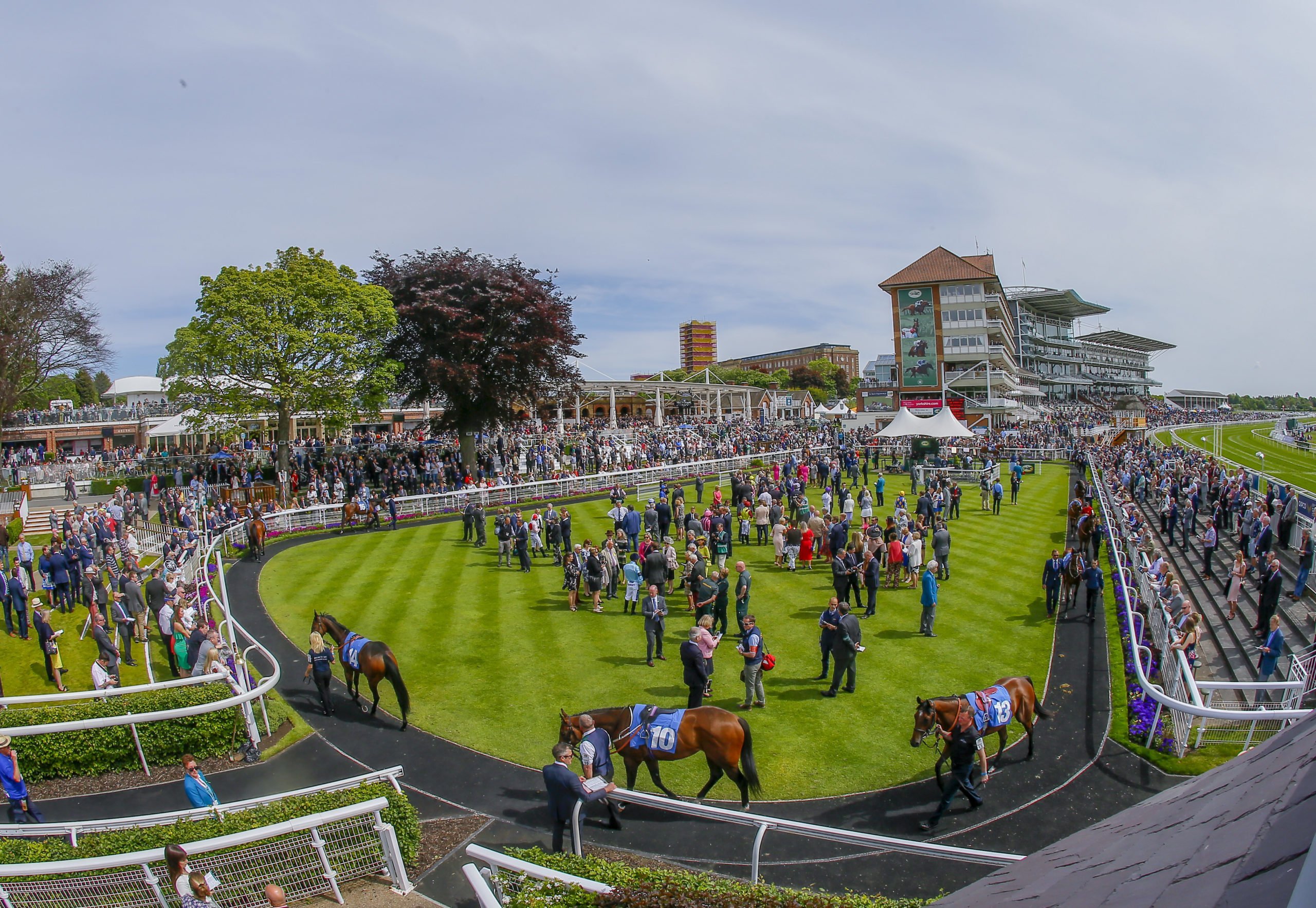 Find out what happens at the Parade Ring - Great British Racing