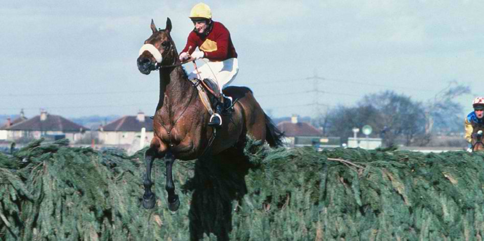 Red Rum – Aintree’s Hero - Great British Racing