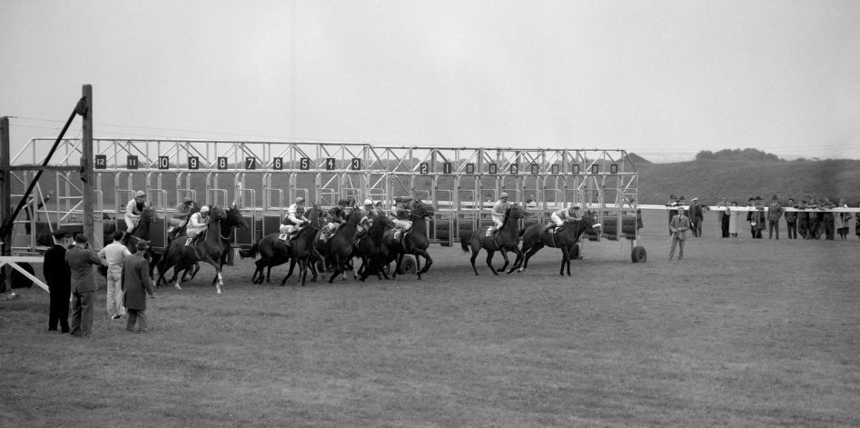 Becoming a stalls handler: Have you got what it takes? - Great British ...