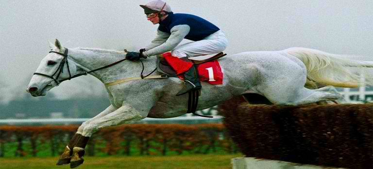 QUIZ: Can you name these grey racehorses? - Great British Racing