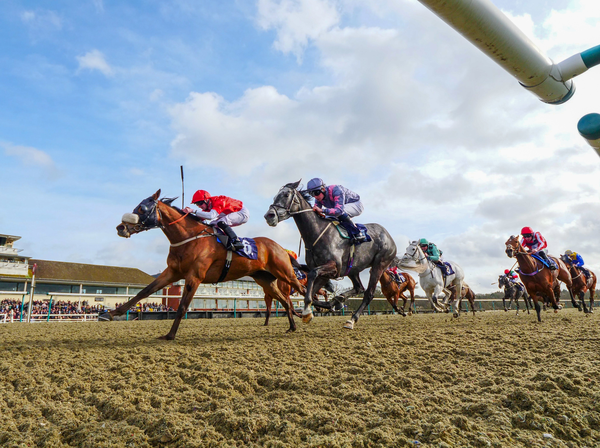 Terms & Conditions - In The Paddock