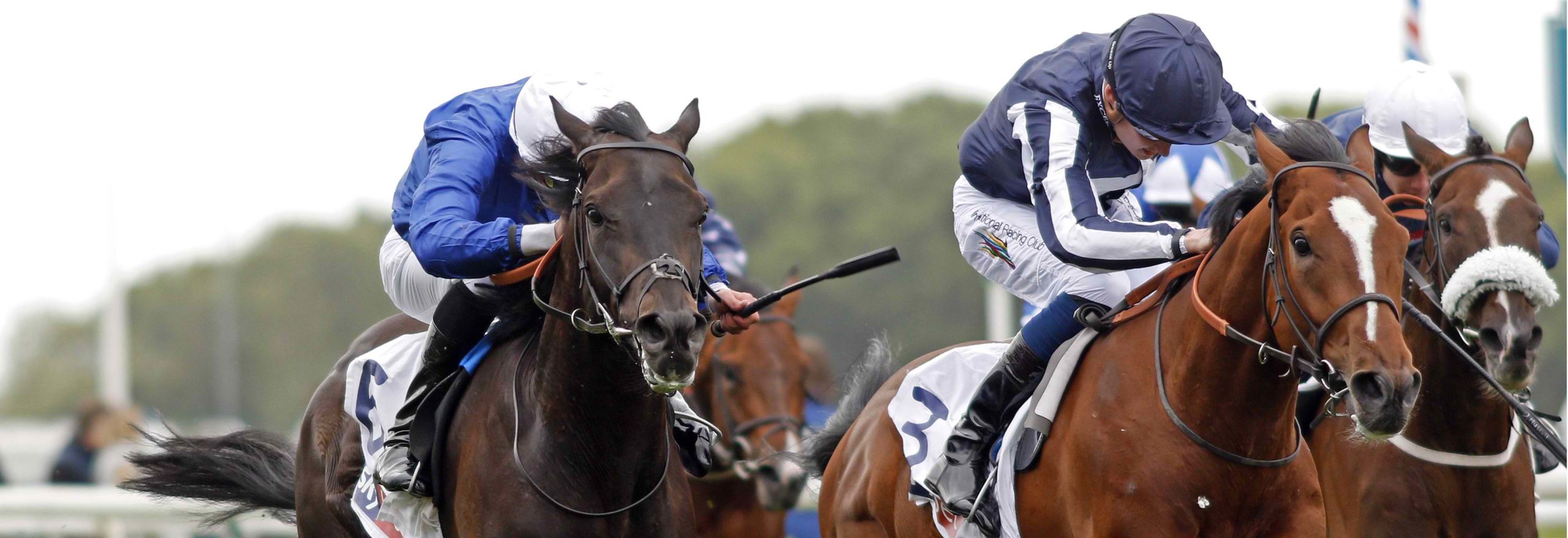 Excel Racing Hoping Eagle Strikes Ebor - In The Paddock