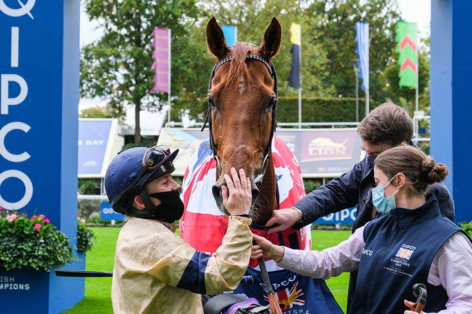 Hambleton Ready To Re-Live Glen Shiel Glory - In The Paddock