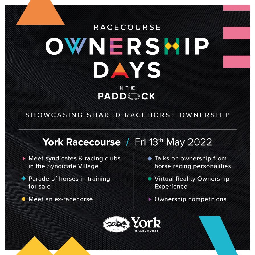 Come Racing At York And Discover Shared Ownership - In The Paddock