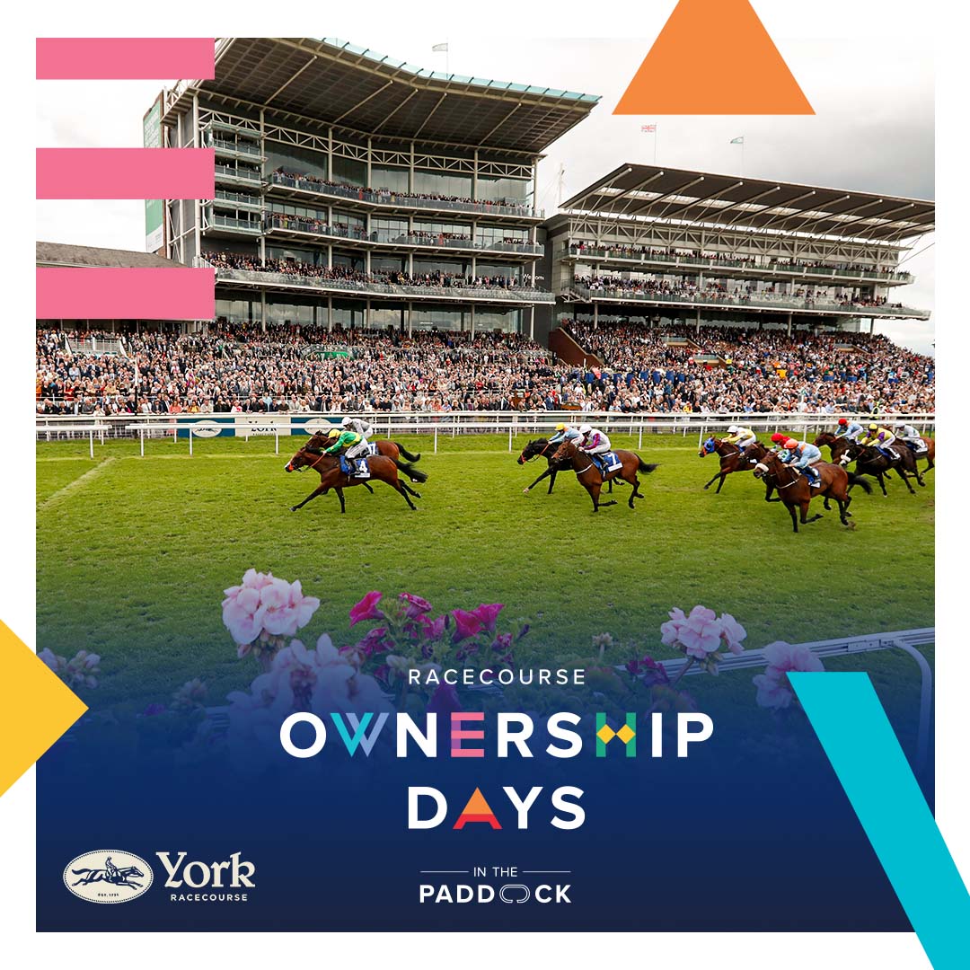 Come Racing At York And Discover Shared Ownership - In The Paddock