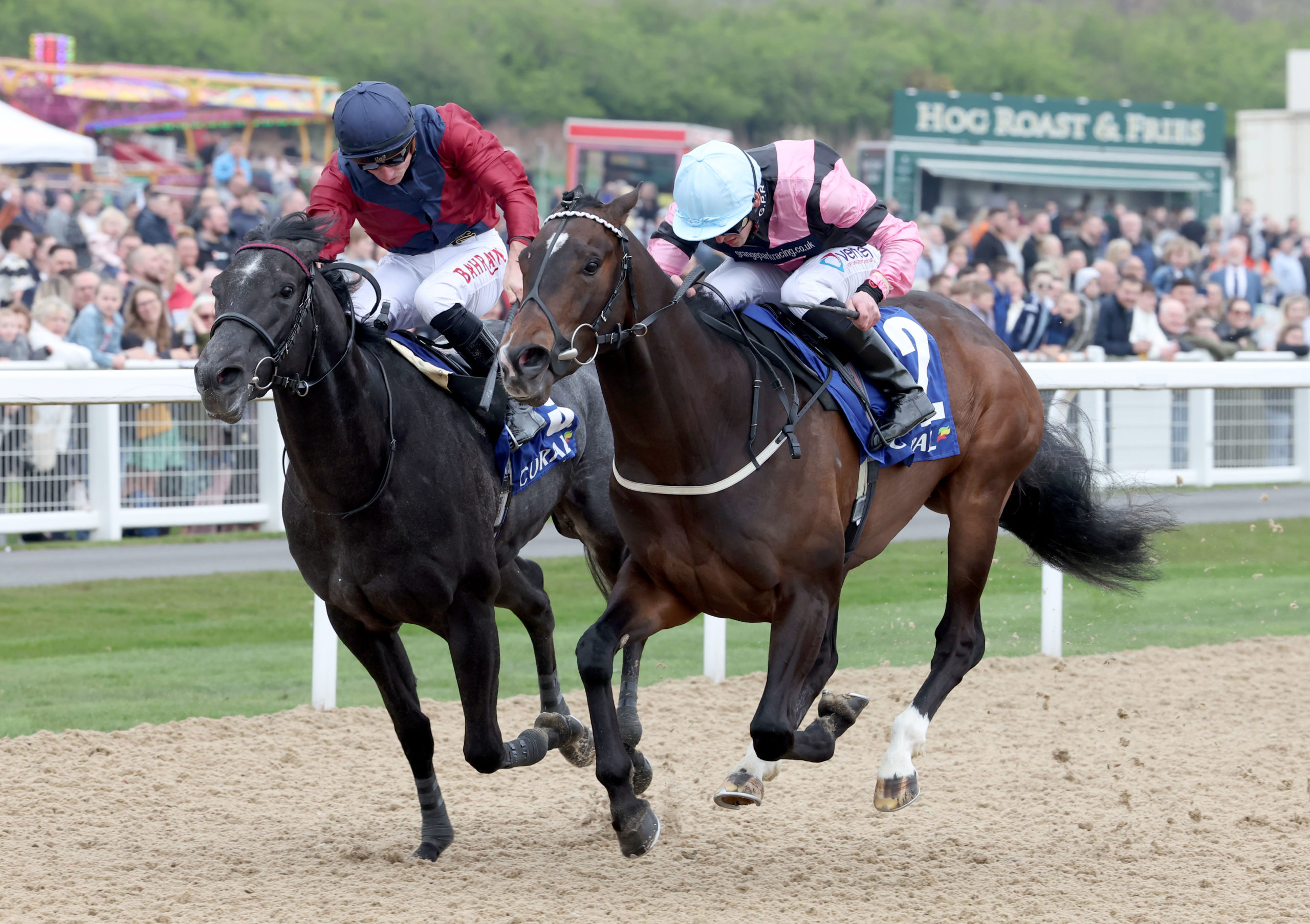 Yorkshire Syndicate Hoping For Royal Ascot Glory with Commonwealth Cup ...