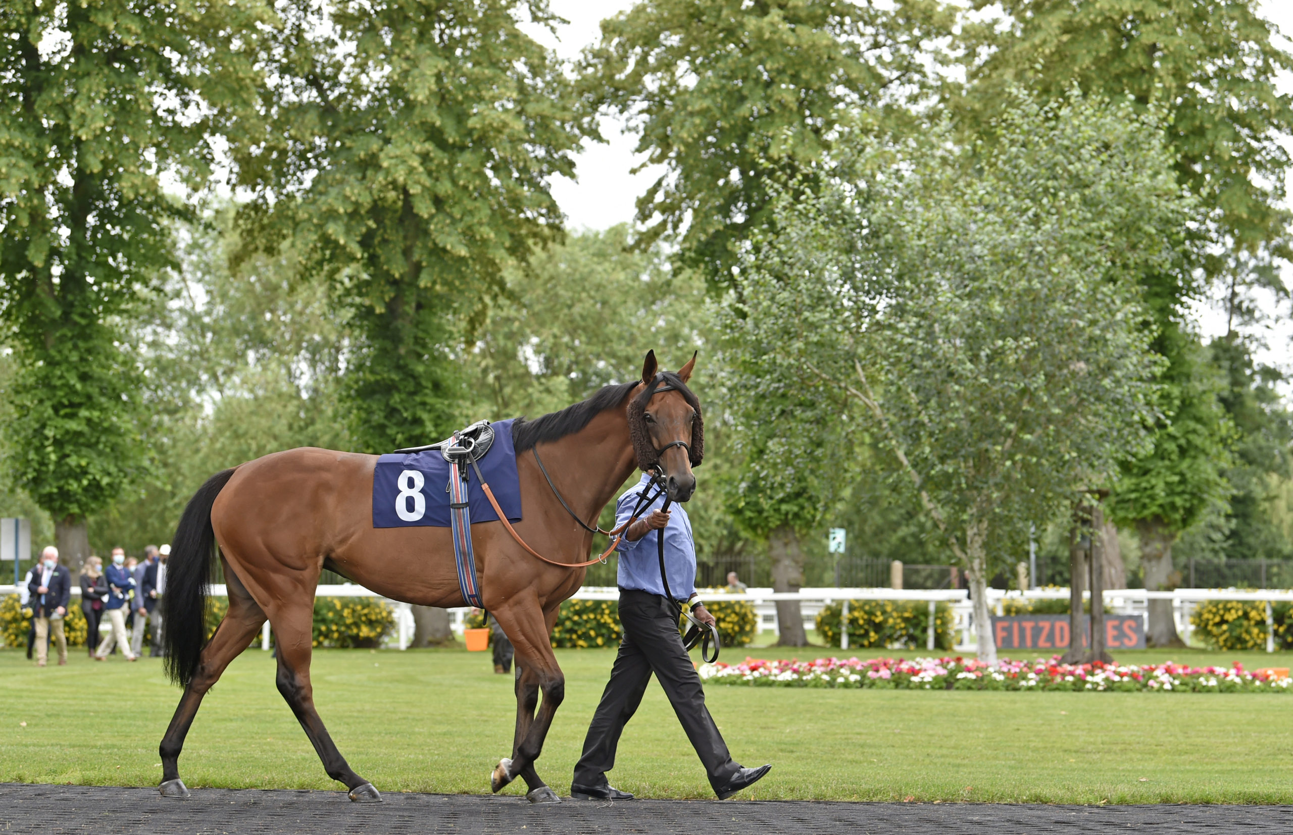 Racecourse Ownership Day Series Continues At Windsor - In The Paddock