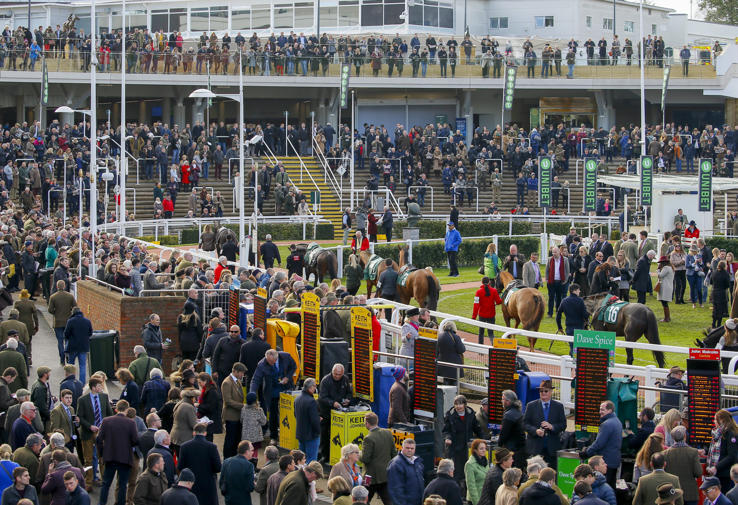 Win An Ownership Experience At Cheltenham Racecourse - In The Paddock