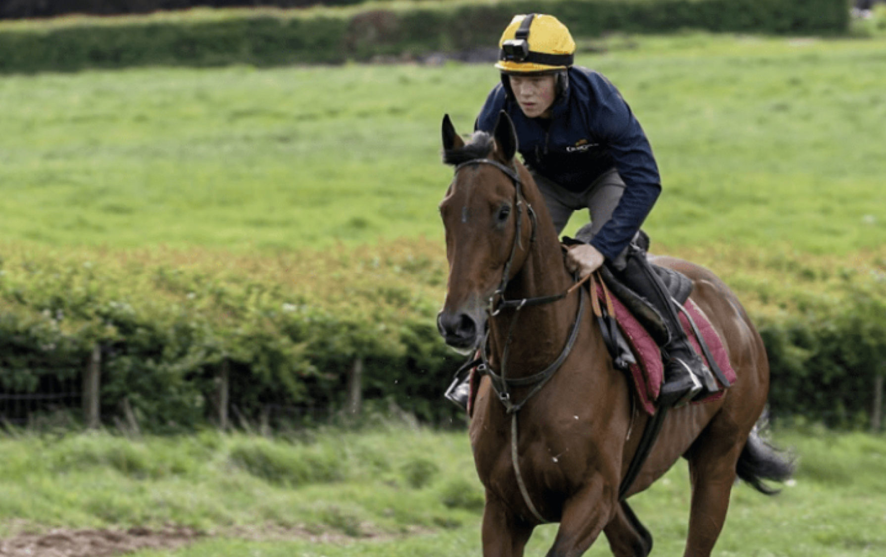 Gift A Share in A Racehorse This Christmas - In The Paddock