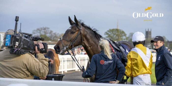 Old Gold Racing - In The Paddock