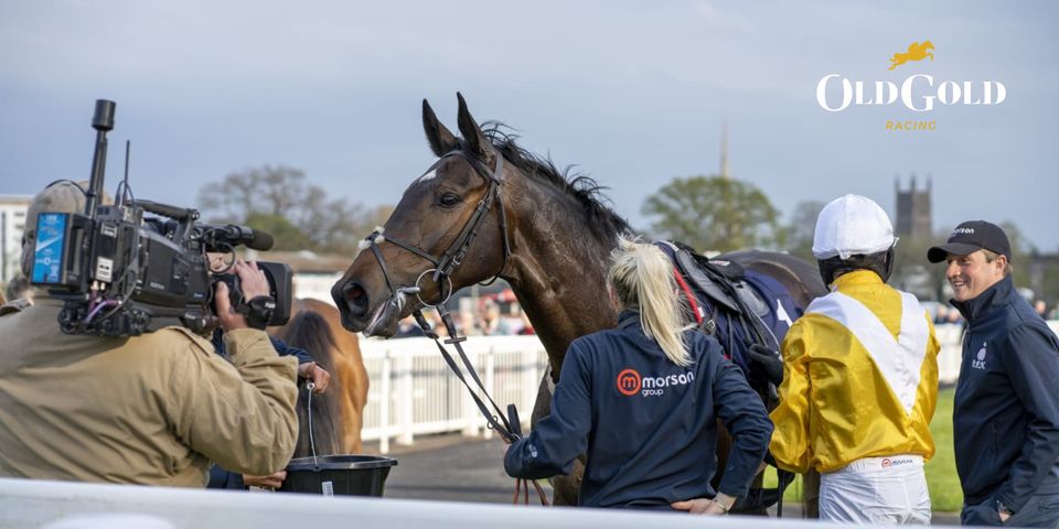 Old Gold Racing - In The Paddock