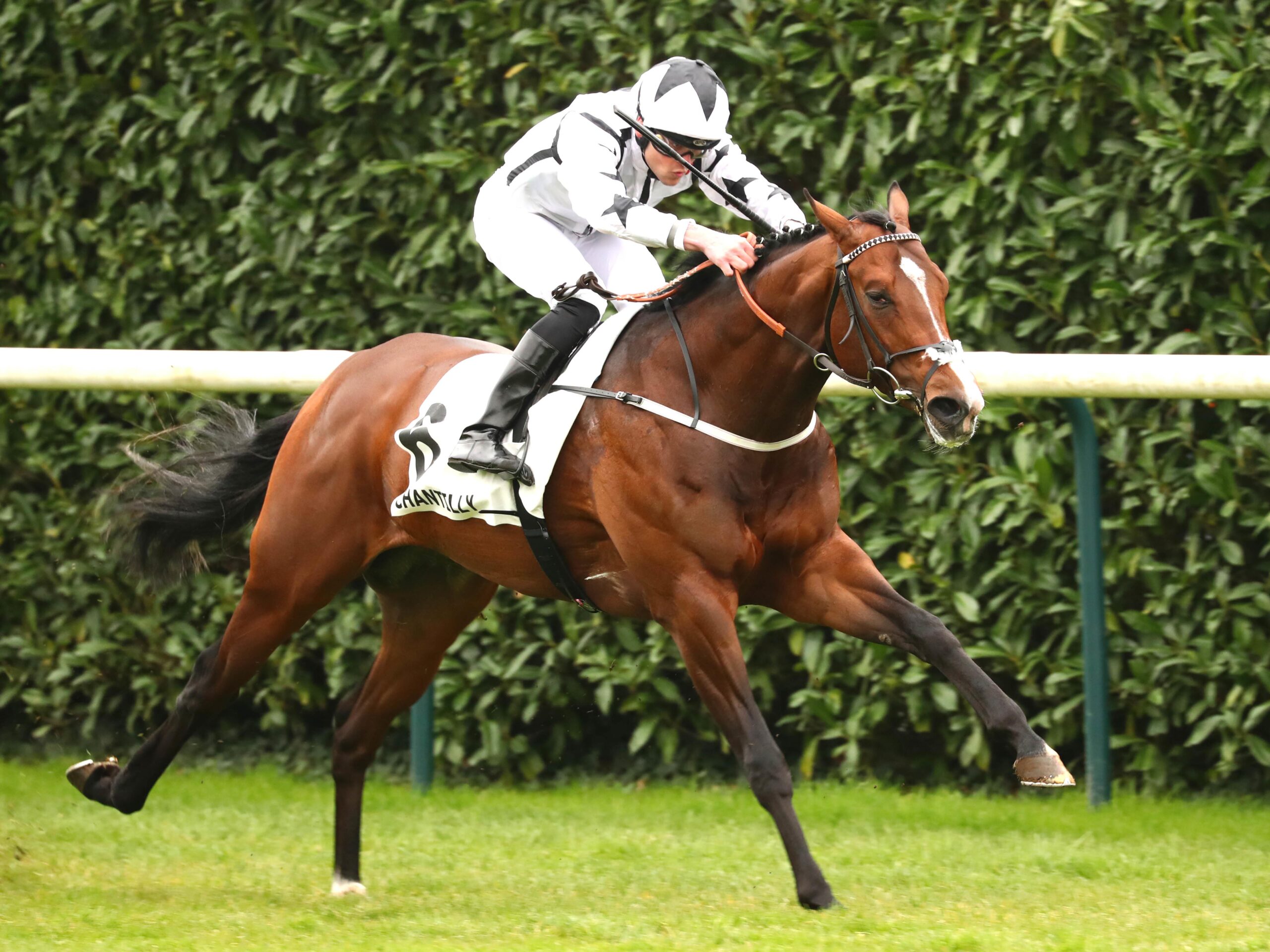 MARSHMAN OWNERS READY FOR ROYAL APPOINTMENT - In The Paddock