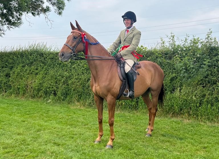 Star chaser becomes showing sensation - In The Paddock