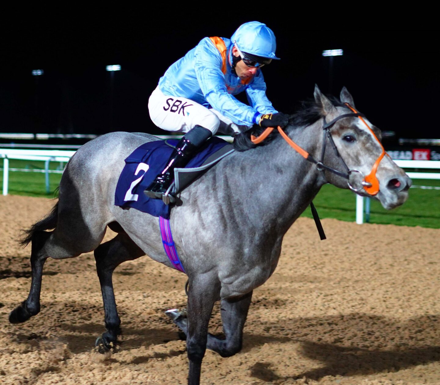 Stallion career beckons for syndicate star Shouldvebeenaring - In The ...