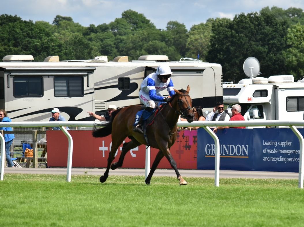 National Hunt Racing Club announces expansion with TS EQUINE - In The ...