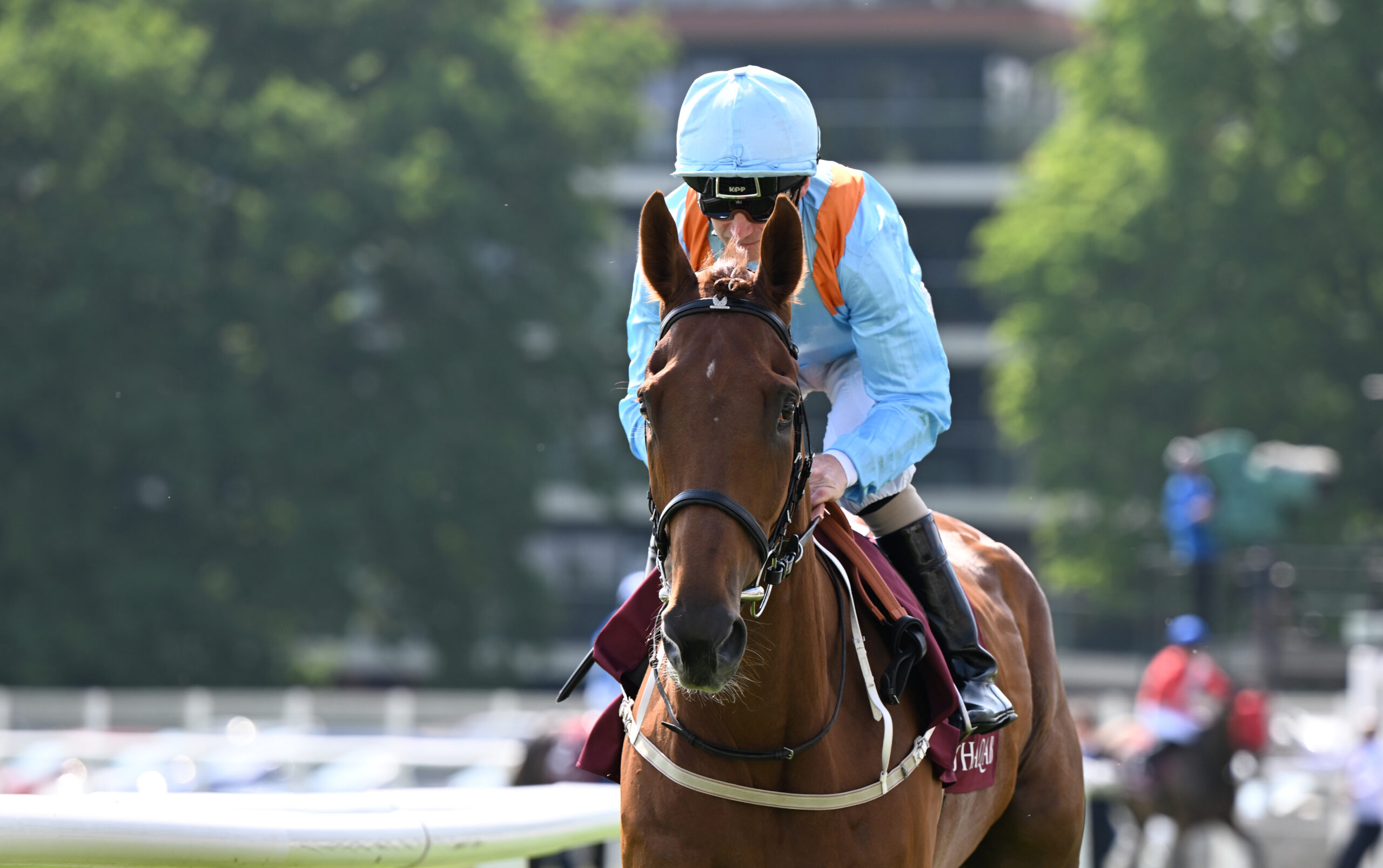 SYNDICATE OWNER STEVE’S IN ‘DREAMLAND’ - In The Paddock