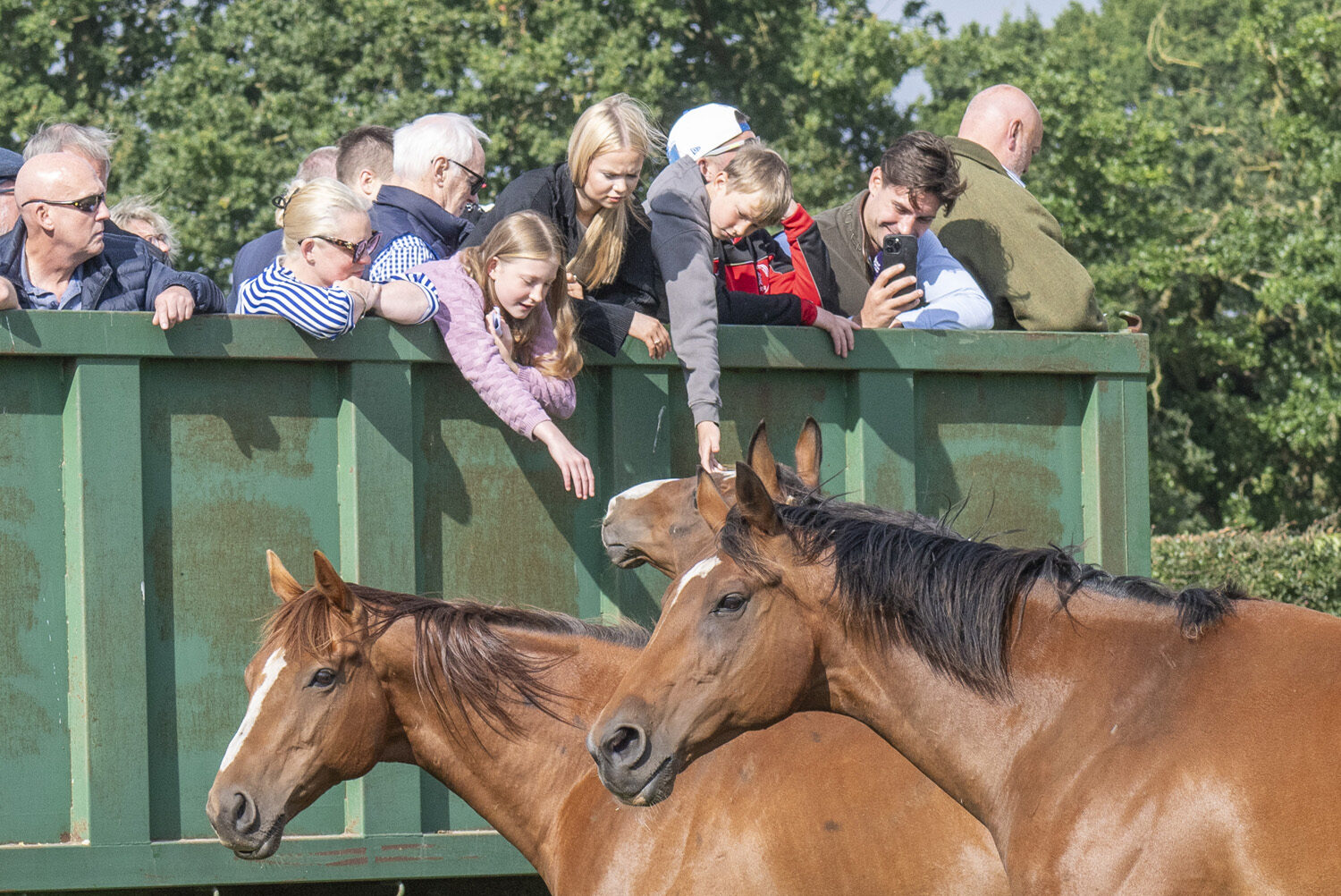 ‘I COULDN’T BELIEVE MY LUCK’ SAYS SOLDIER JOSH - In The Paddock