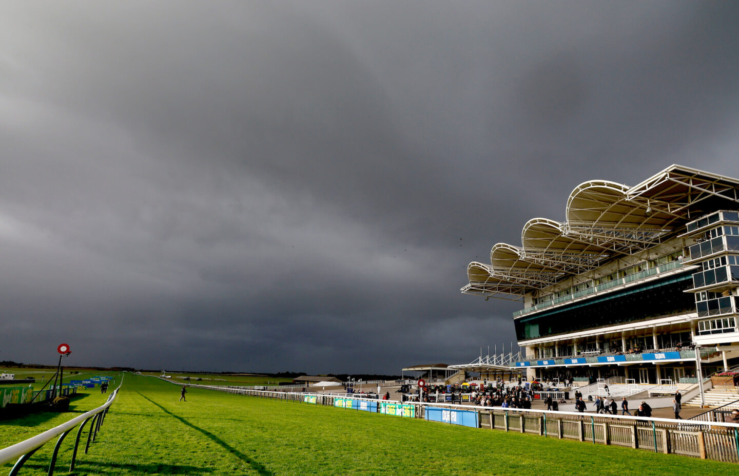 Brighton Stars Chasing A Classic Dream - In The Paddock