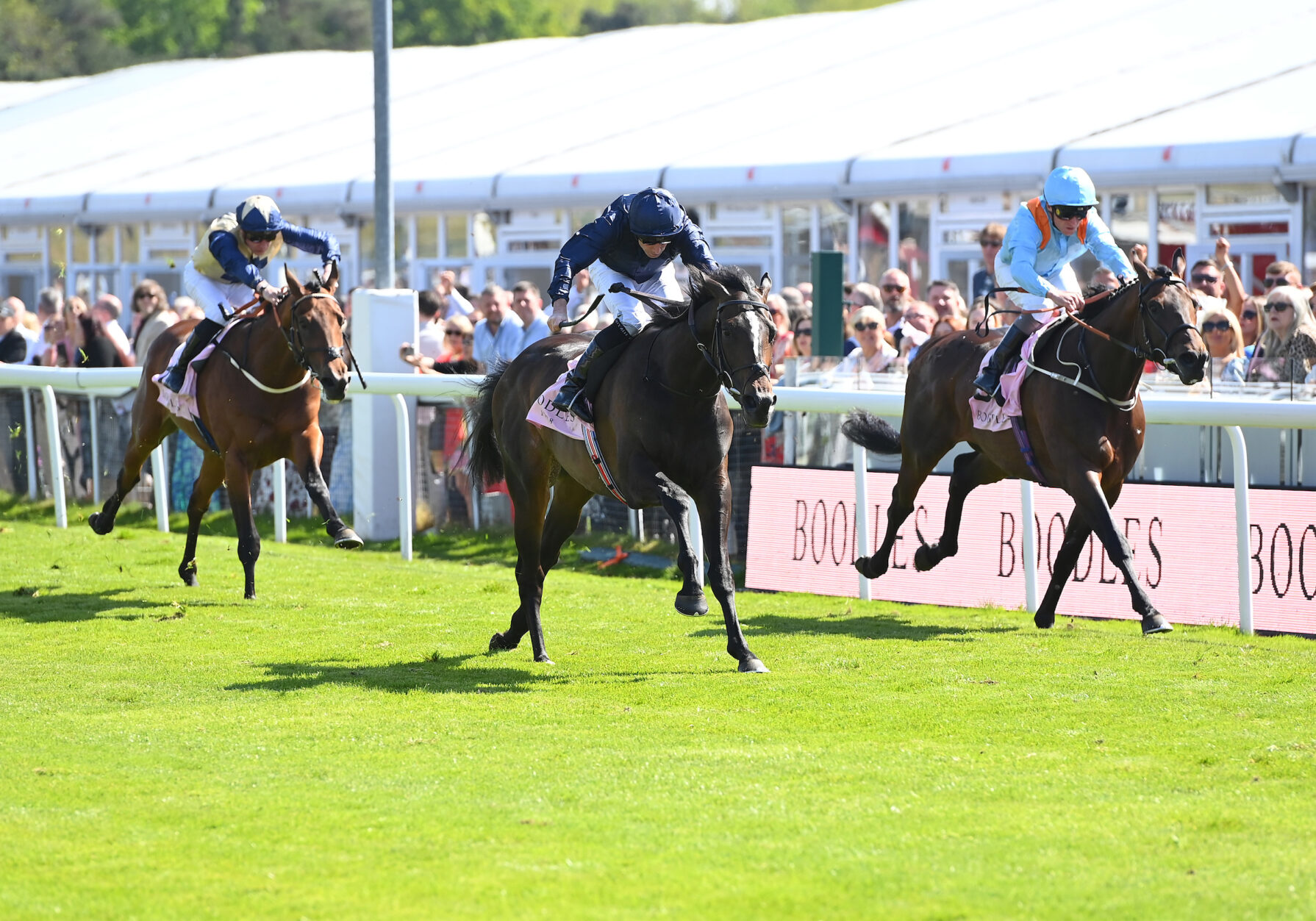 Derby Runner a Dream Come True for George - In The Paddock