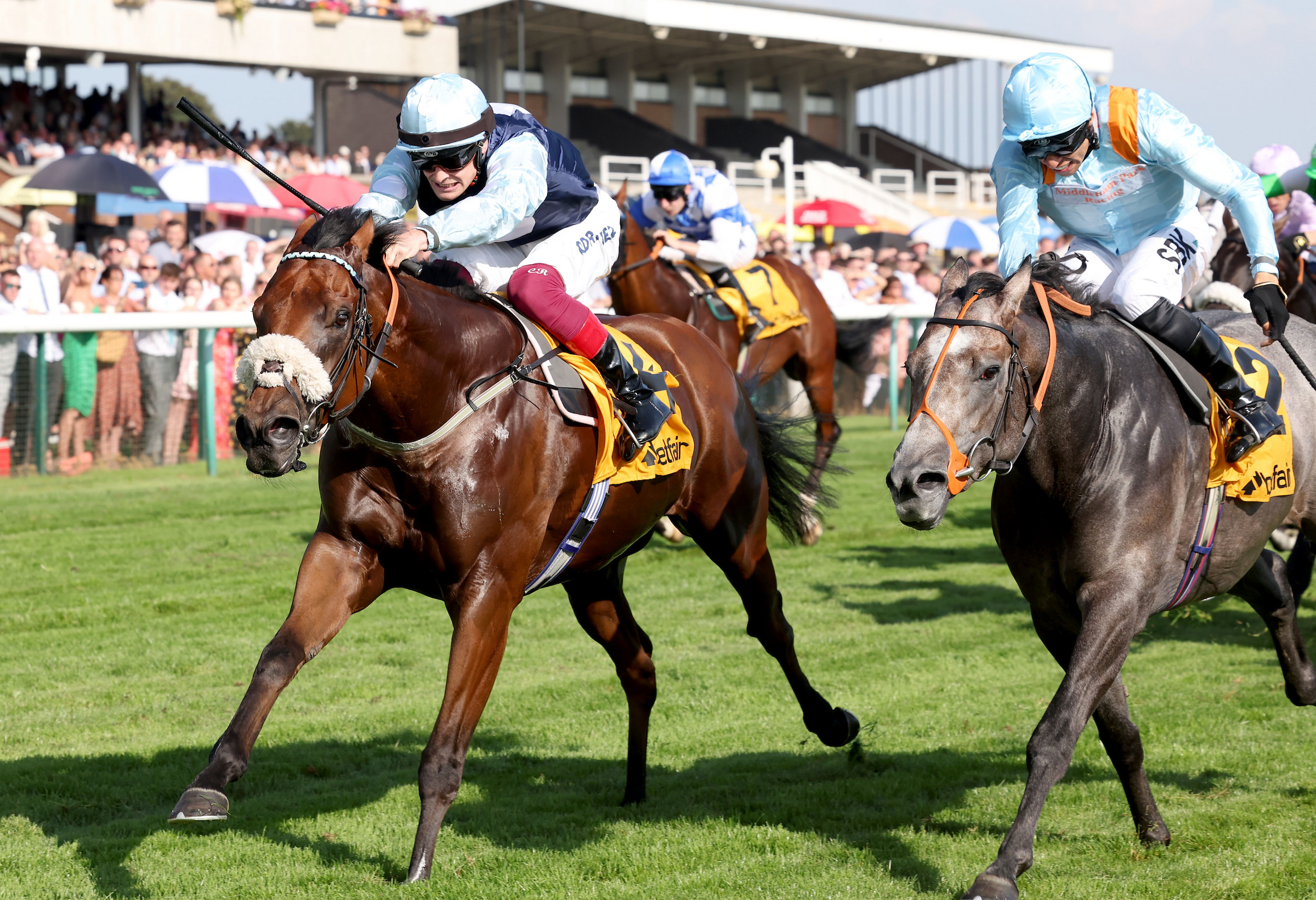 Star Sprinter Regional Inspires Dubai Project - In The Paddock