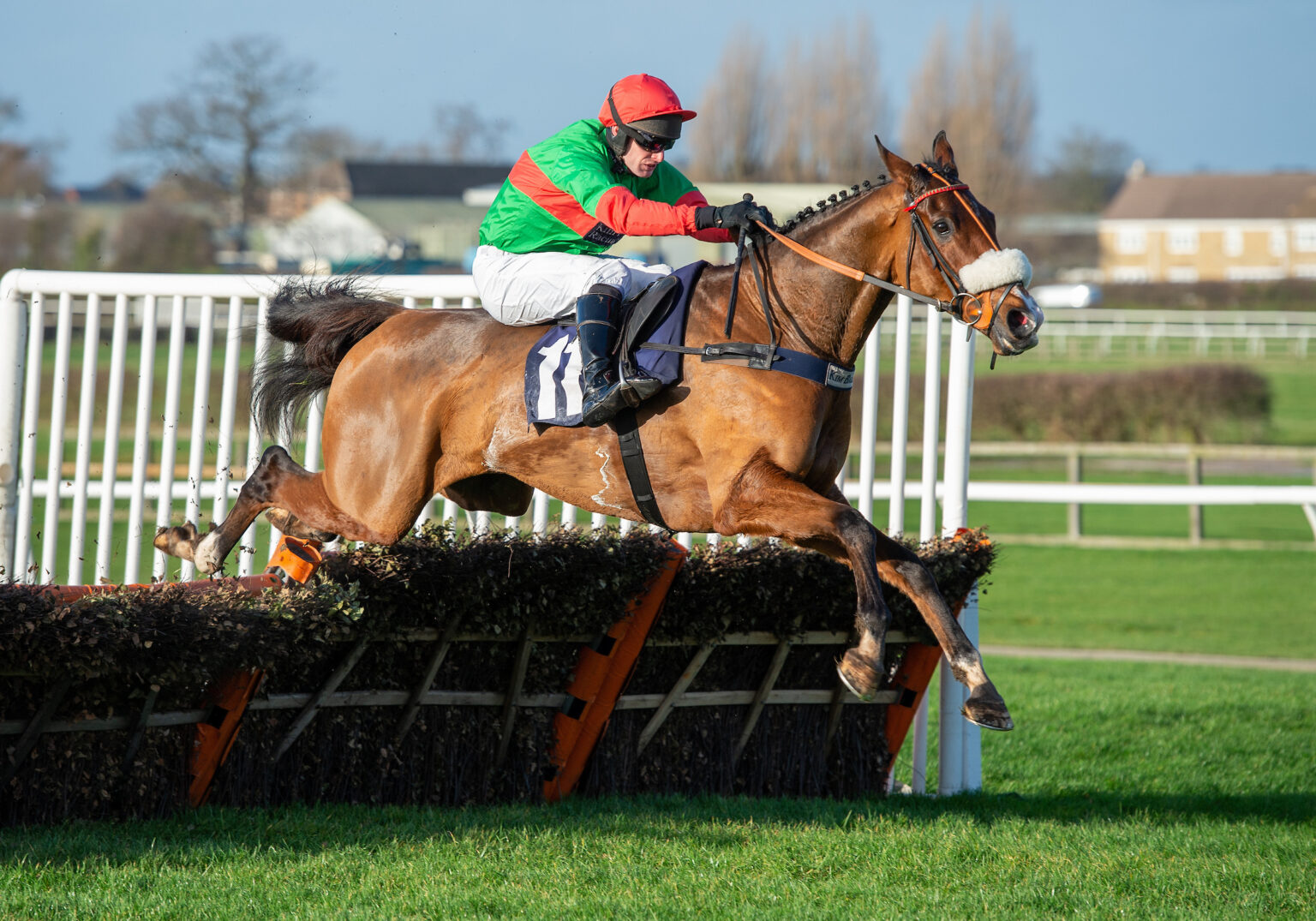 Two For Gold - A True Success Story - In The Paddock